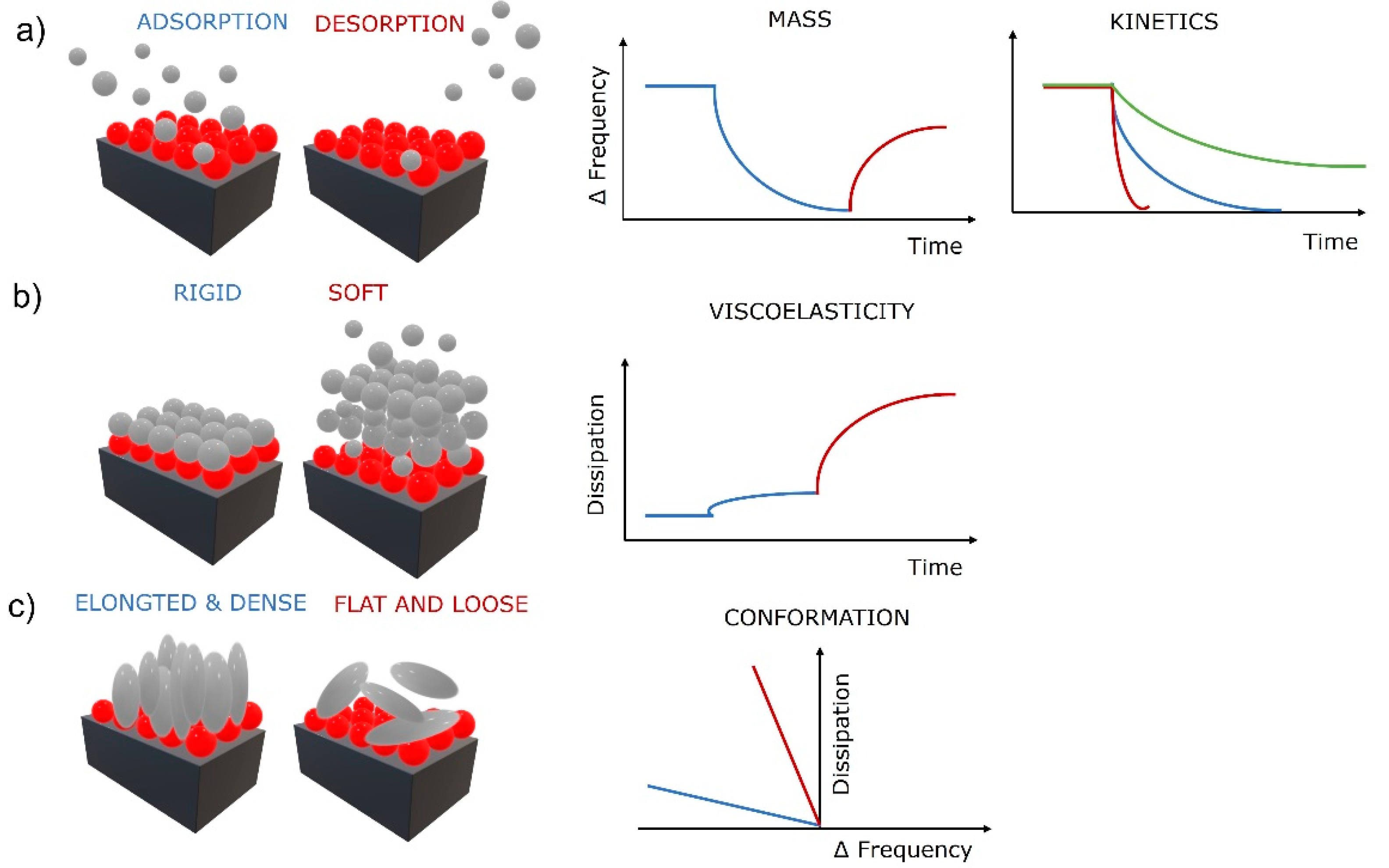 Practical Use of Quartz Crystal Microbalance Monitoring in Cartilage ...