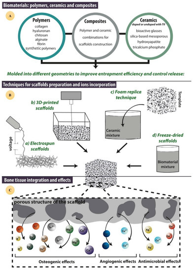 Li-Doped Bioactive Ceramics: Promising Biomaterials for Tissue ...