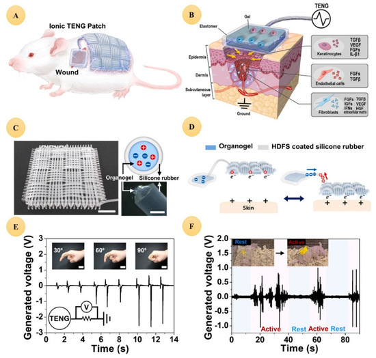 Li-Doped Bioactive Ceramics: Promising Biomaterials for Tissue ...