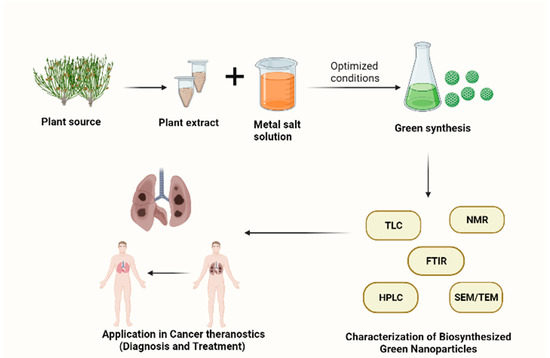 Bio-Inspired Smart Nanoparticles in Enhanced Cancer Theranostics and ...