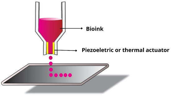 3D Bioprinting Technology and Hydrogels Used in the Process