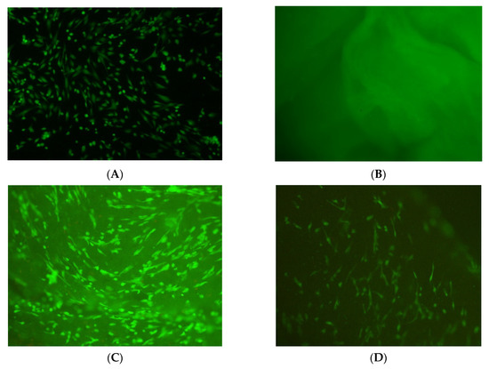 Effect on Cellular Vitality In Vitro of Novel APRF-Chlorhexidine ...