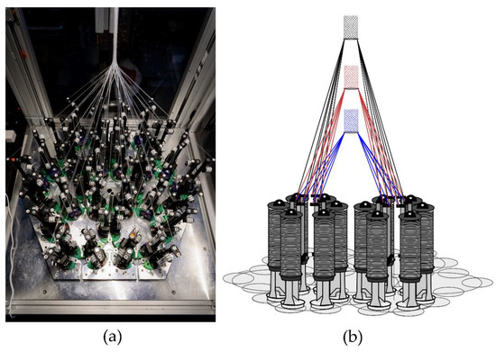 3D-Braided Poly-ε-Caprolactone-Based Scaffolds for Ligament Tissue ...