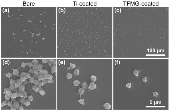 Review on Biocompatibility and Prospect Biomedical Applications of ...
