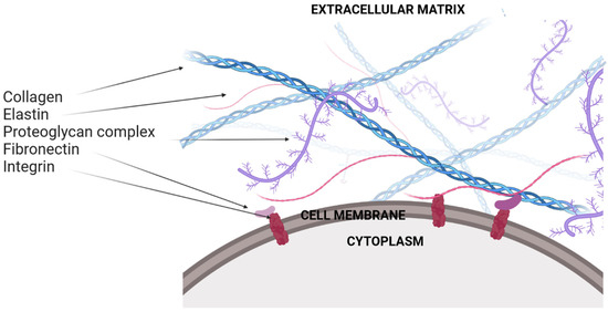 Collagen as a Biomaterial for Skin and Corneal Wound Healing