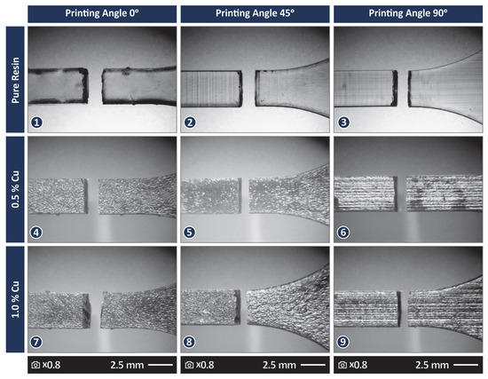 Multifunctional Medical Grade Resin with Enhanced Mechanical and ...