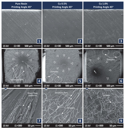 Multifunctional Medical Grade Resin with Enhanced Mechanical and ...