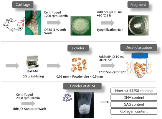 Preparation and Characterization of Extracellular Matrix Hydrogels Derived from Acellular ...