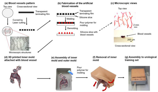 A High-Fidelity Artificial Urological System for the Quantitative ...