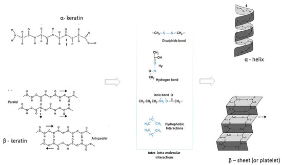 Wool Keratin Nanofibers for Bioinspired and Sustainable Use in ...