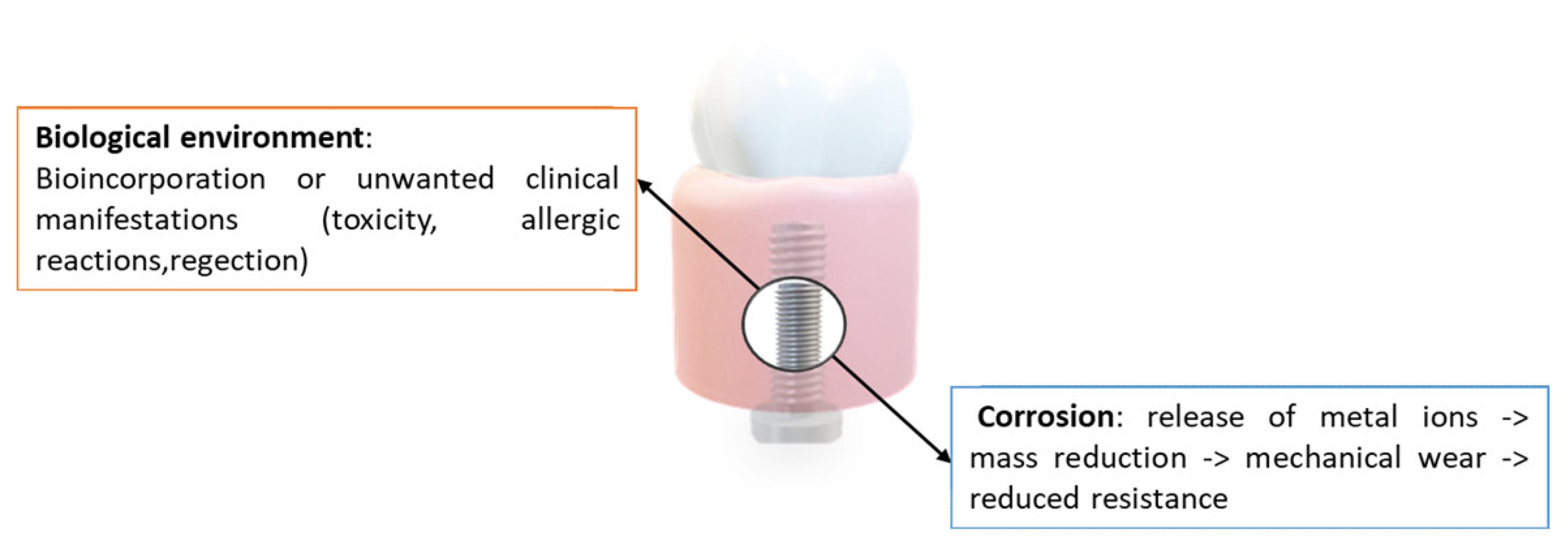 Metals Biotribology and Oral Microbiota Biocorrosion Mechanisms
