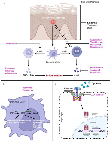 Nanoscale Topical Pharmacotherapy in Management of Psoriasis ...