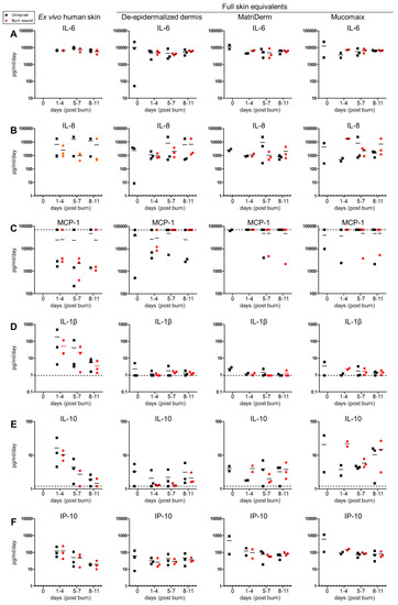 Full Skin Equivalent Models for Simulation of Burn Wound Healing ...