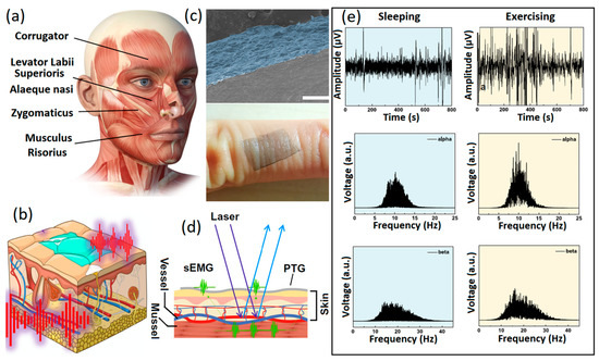 Functional Two-Dimensional Materials for Bioelectronic Neural Interfacing