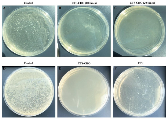 A Novel Hydrophilic, Antibacterial Chitosan-Based Coating Prepared by ...