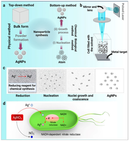 Emerging Trends in Advanced Translational Applications of Silver Nanoparticles: A Progressing ...