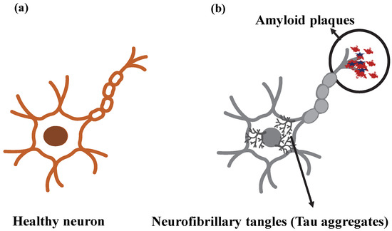 A Review on Phyto-Therapeutic Approaches in Alzheimer’s Disease