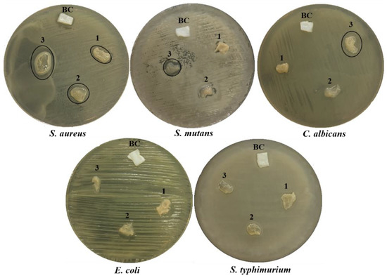 Bacterial Cellulose/Cellulose Imidazolium Bio-Hybrid Membranes for In Vitro and Antimicrobial ...