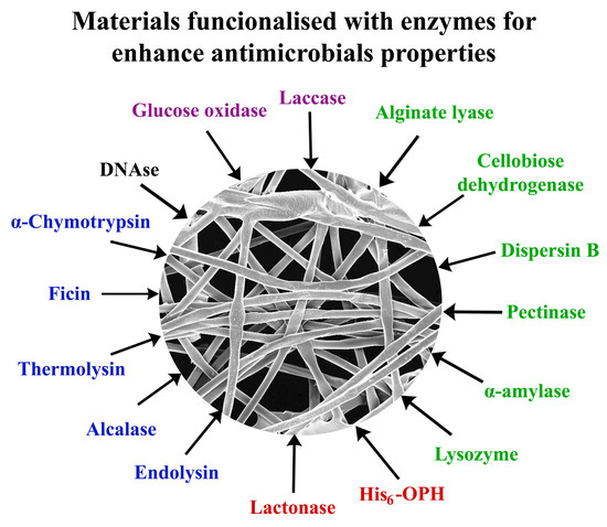 Combination of Enzymes with Materials to Give Them Antimicrobial ...