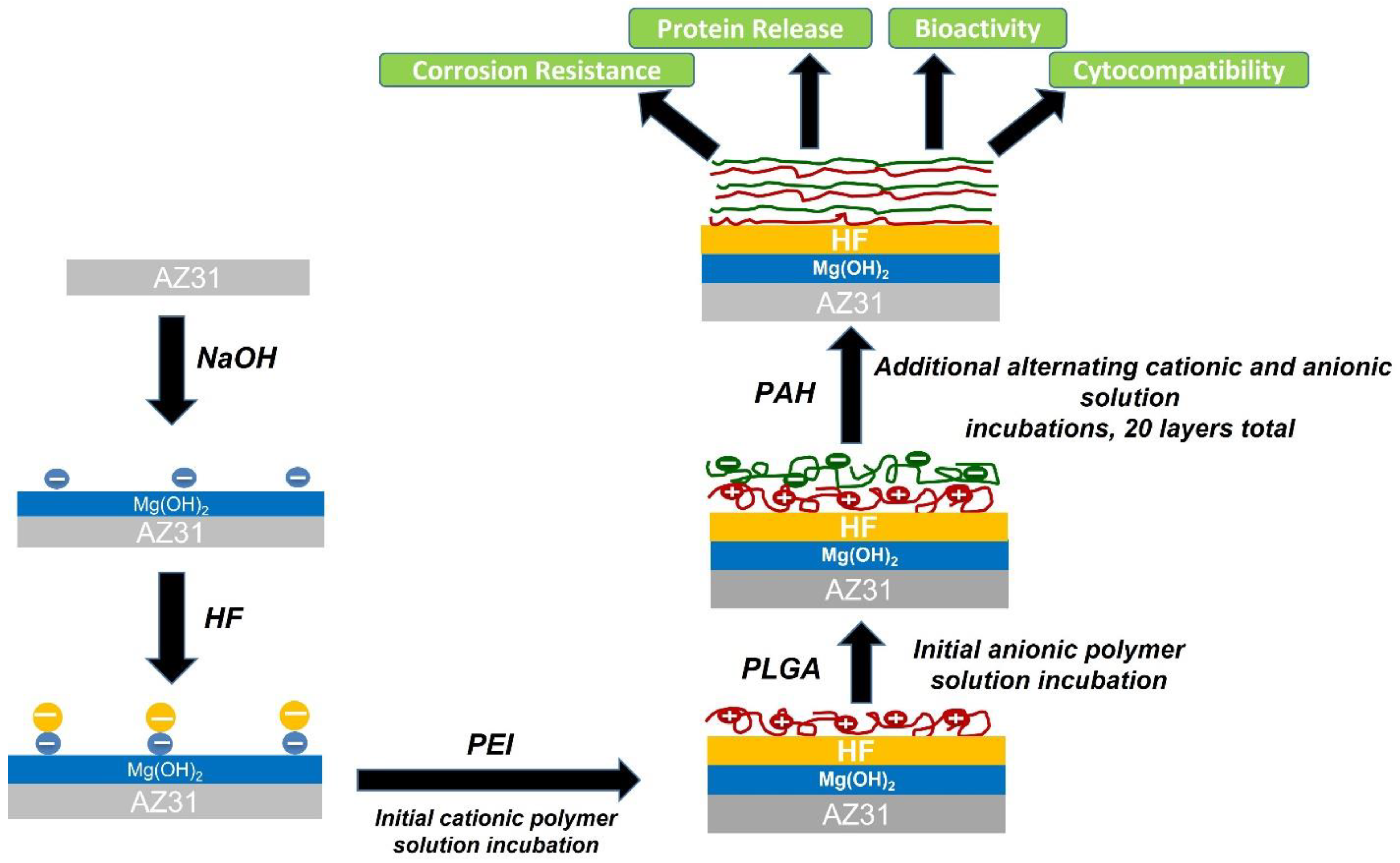 JFB | Free Full-Text | Bioactive Synthetic Polymer-Based ...