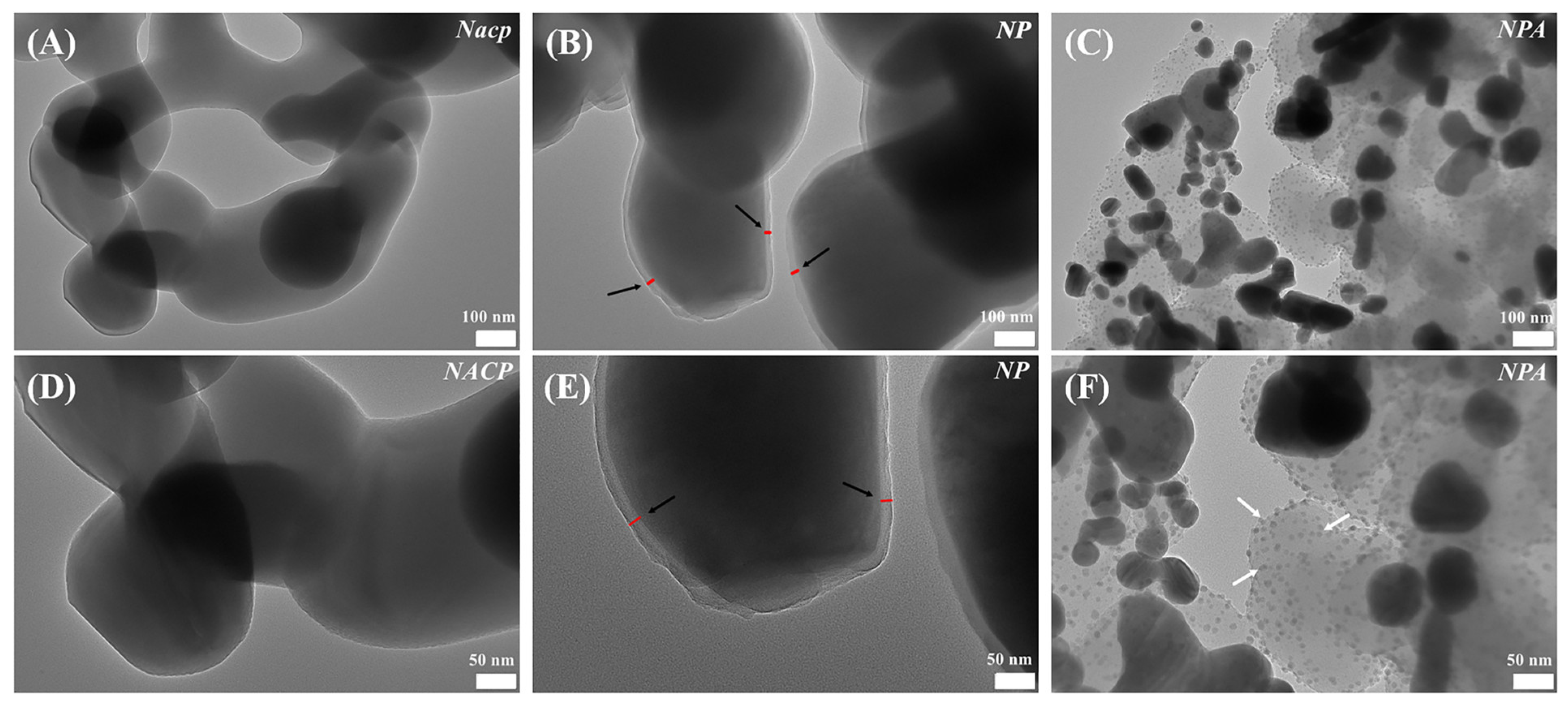 Developing a Novel Enamel Adhesive with Amorphous Calcium Phosphate and Silver Nanoparticles to ...