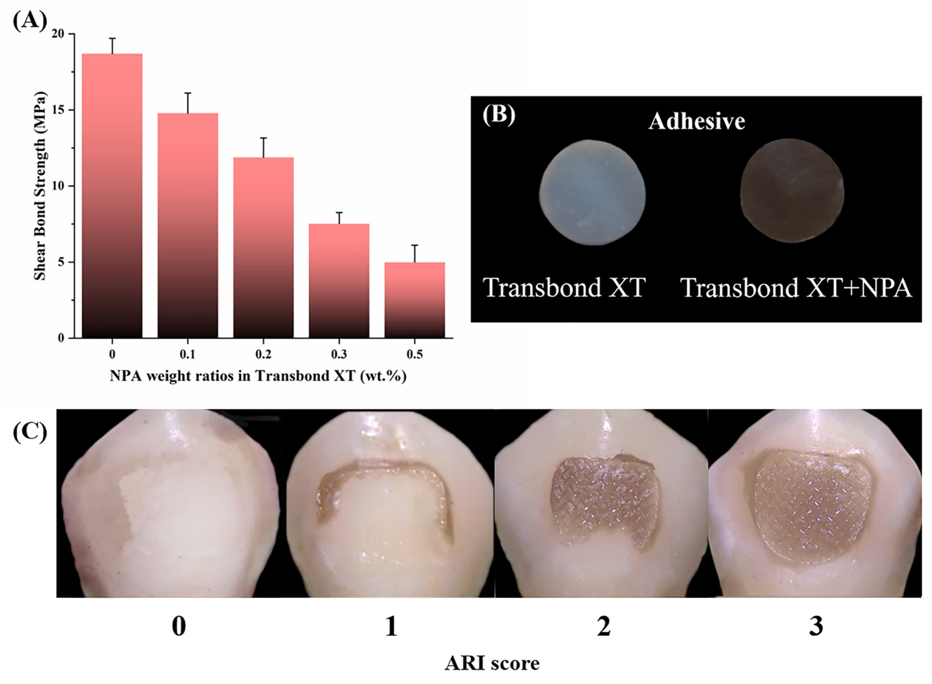 Developing a Novel Enamel Adhesive with Amorphous Calcium Phosphate and Silver Nanoparticles to ...