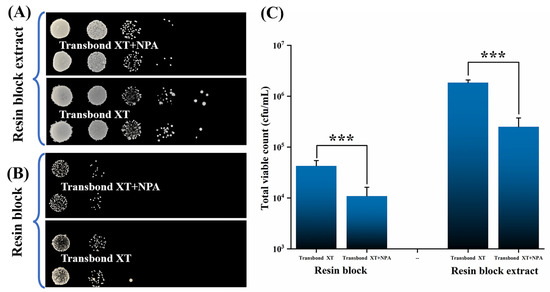 Developing a Novel Enamel Adhesive with Amorphous Calcium Phosphate and Silver Nanoparticles to ...