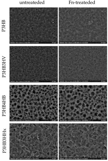 Influence of PHA Substrate Surface Characteristics on the Functional ...