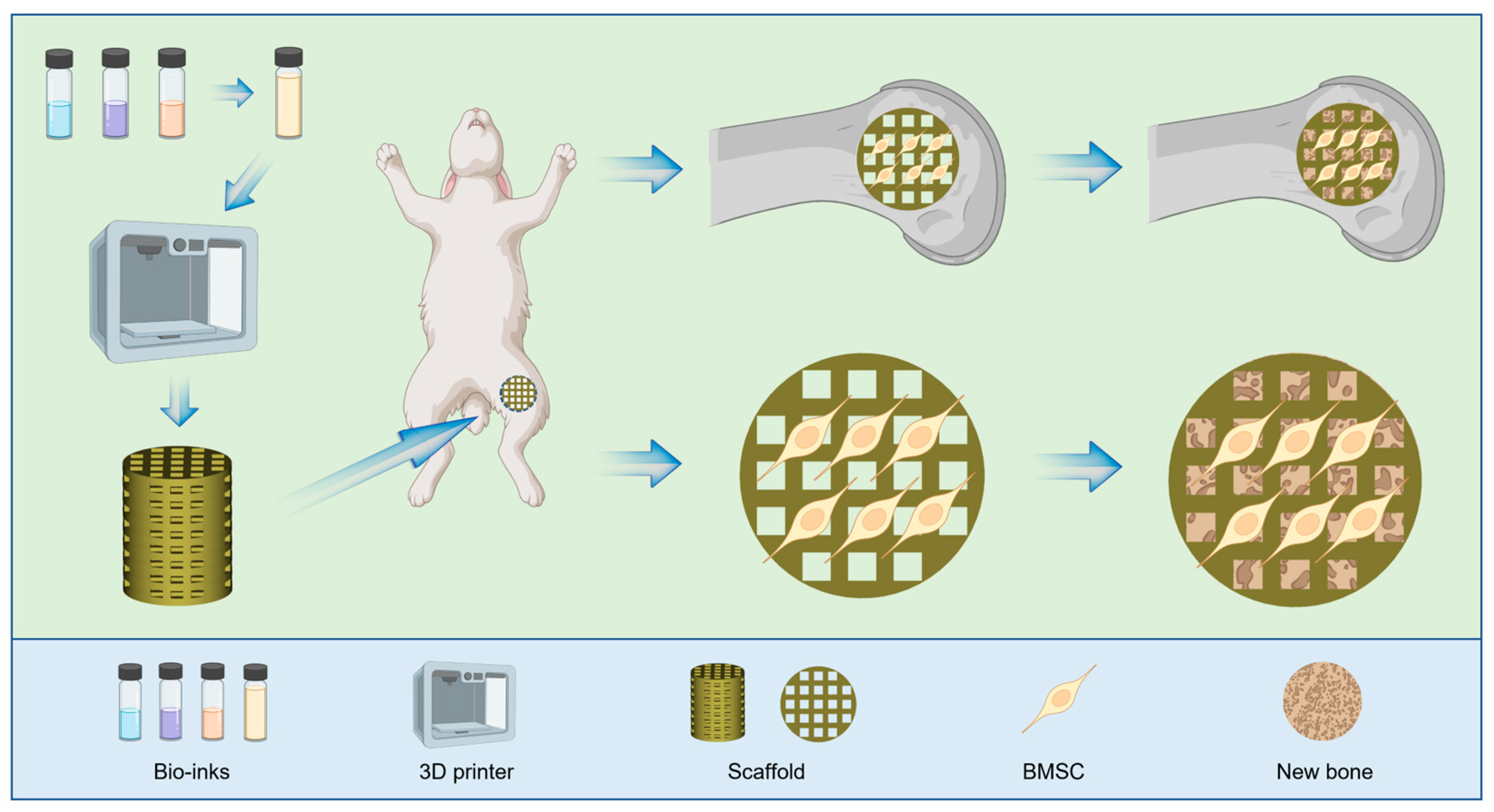 Facile Fabrication Of 3d Printed Porous Ti6al4v Scaffolds 52 Off