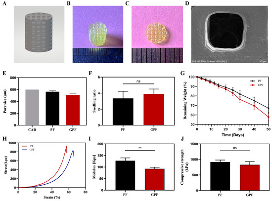 3D-Printed GelMA/PEGDA/F127DA Scaffolds for Bone Regeneration