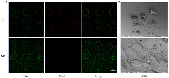 3D-Printed GelMA/PEGDA/F127DA Scaffolds for Bone Regeneration