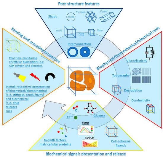 Review on Bioinspired Design of ECM-Mimicking Scaffolds by Computer ...
