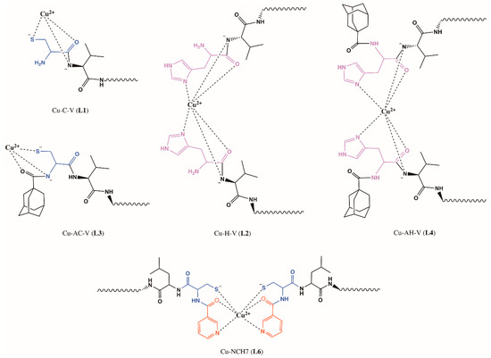 Metal–Peptide Complexes with Antimicrobial Potential for Cotton Fiber ...