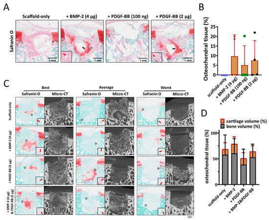Effectiveness of BMP-2 and PDGF-BB Adsorption onto a Collagen/Collagen ...