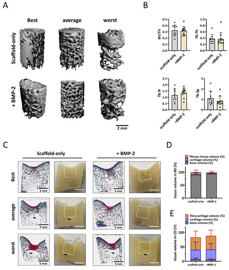 Effectiveness of BMP-2 and PDGF-BB Adsorption onto a Collagen/Collagen ...