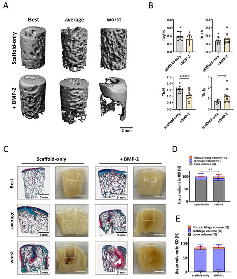 Effectiveness of BMP-2 and PDGF-BB Adsorption onto a Collagen/Collagen ...