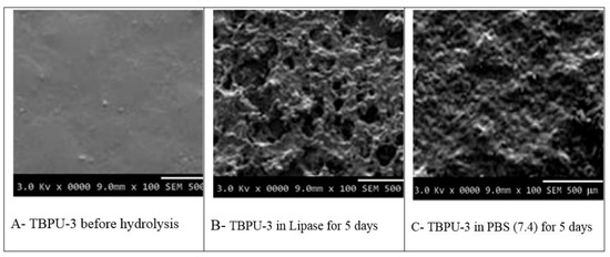 Green Biodegradable Polylactide-Based Polyurethane Triblock Copolymers ...