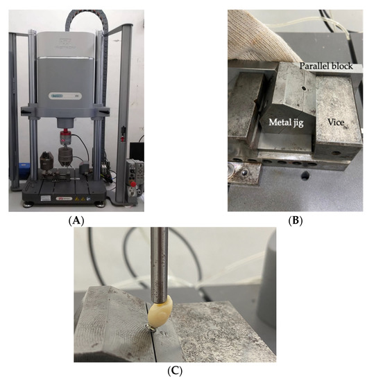 Reverse Torque Value of Angulated Screw Channel Abutment before and ...