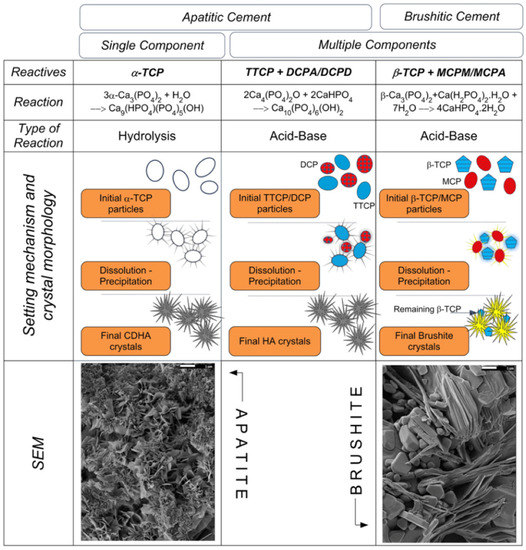 Biodegradable Cements for Bone Regeneration