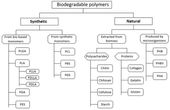 Biodegradable Materials for Tissue Engineering: Development ...