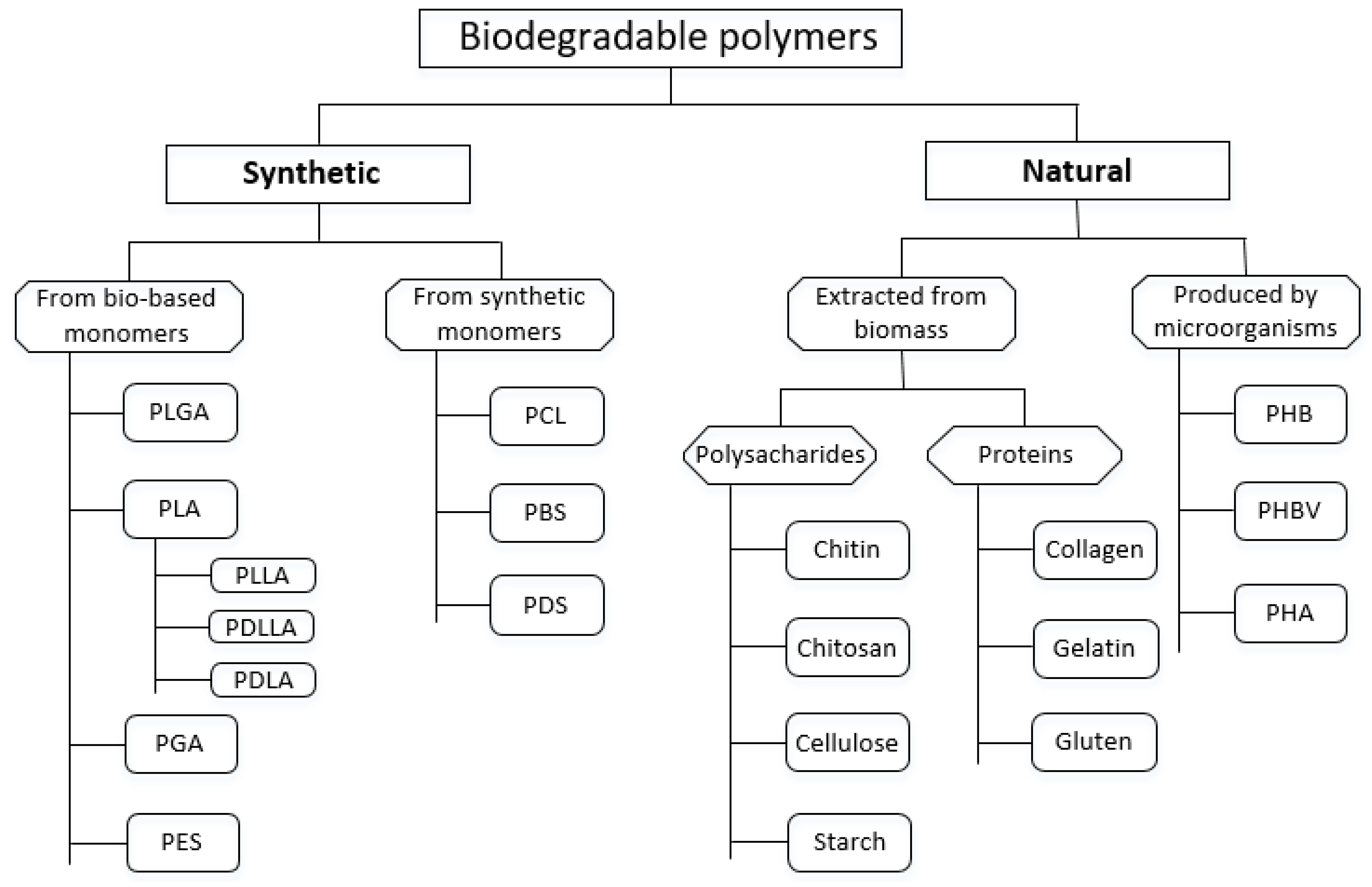 Biodegradable Materials for Tissue Engineering: Development, Classification and Current Applications