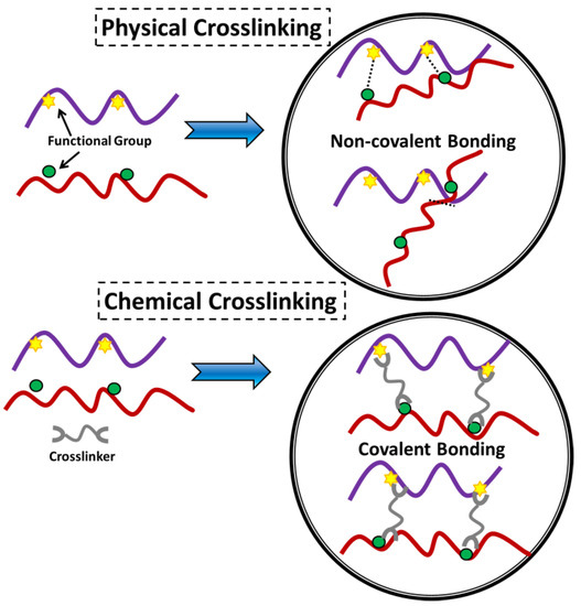 Doped Carbon Quantum Dots Reinforced Hydrogels for Sustained Delivery ...