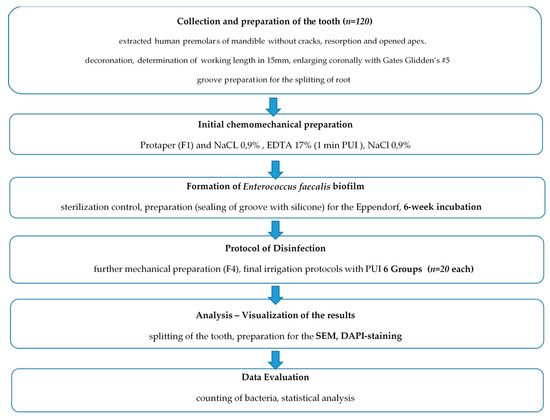 Efficacy of Endodontic Disinfection Protocols in an E. faecalis Biofilm ...