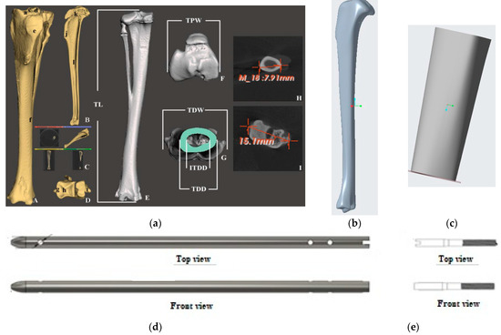 Evaluation of a Bioabsorbable Scaffold and Interlocked Nail System for ...