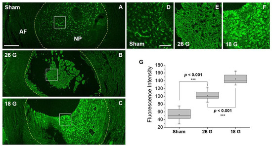 Development of a COX-2-Selective Fluorescent Probe for the Observation ...