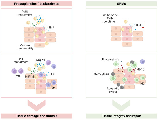The Use of Specialized Pro-Resolving Mediators in Biomaterial-Based ...