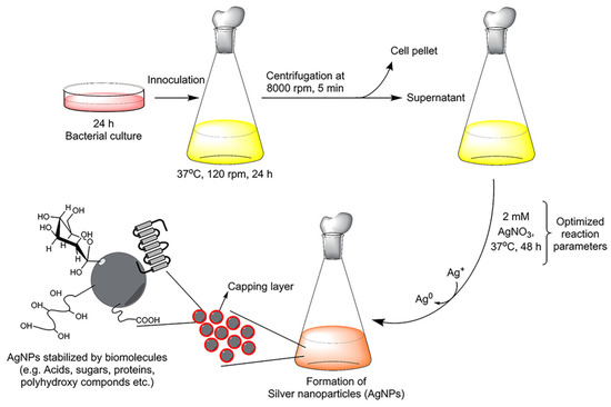 Effect of Size, Shape and Surface Functionalization on the ...