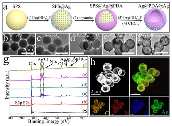 Effect of Size, Shape and Surface Functionalization on the ...