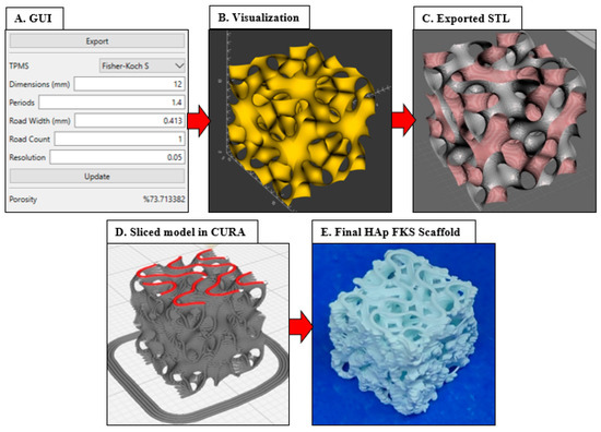 Robocasting of Ceramic Fischer–Koch S Scaffolds for Bone Tissue Engineering