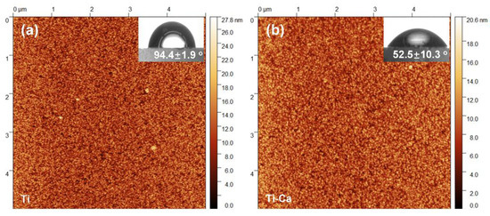 Cell Responses to Calcium- and Protein-Conditioned Titanium: An In ...